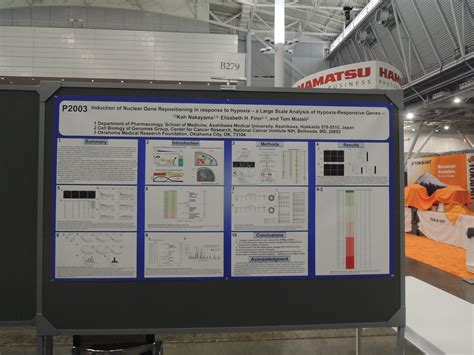 Cellbio Embo Meeting