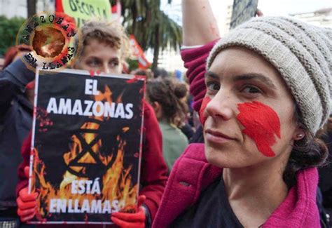 Qué Negocios Se Esconden Detrás De Los Incendios Del Amazonas Noticias