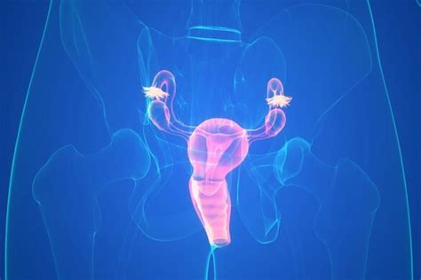 Ovarian Teratoma Causes Symptoms And Treatment Fastlyheal