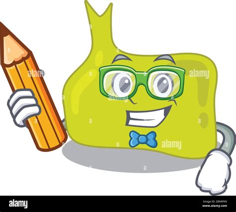 Hypothalamic Pituitary Adrenal Stock Vector Images Alamy