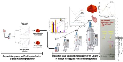 在中试植物发酵罐中通过含油酵母生产 β 胡萝卜素：产量标准化和工艺放大journal Of Agricultural And Food