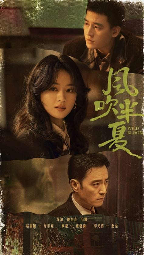 《與鳳行》趙麗穎的六部大女主劇：《楚喬傳》太經典、「許半夏」成為網友最愛角色