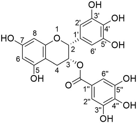 Chemical Structure Of Egcg Download Scientific Diagram