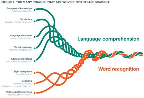Research Scarboroughs Reading Rope Eef Literacy Guidance 800px
