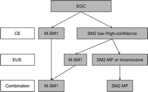 The Integrated Diagnostic Algorithm Combining Conventional Endoscopy Download Scientific