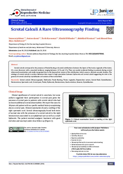 Pdf Scrotal Calculi A Rare Ultrasonography Finding Youness Jabbour