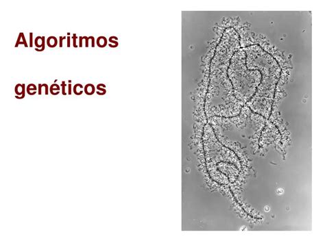 PPT Algoritmos genéticos PowerPoint Presentation free download ID