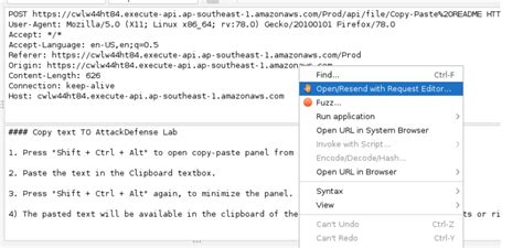 Lab Walkthrough Command Injection