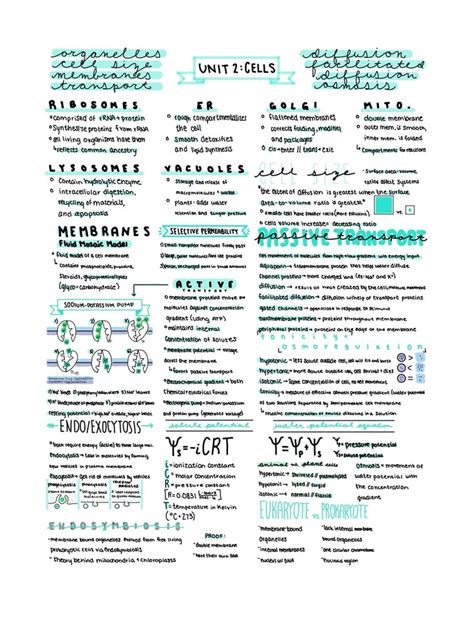 Ap Biology Unit 2 Review Notes Etsy Uk In 2024 Biology Units