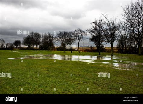Flooded Trees Hi Res Stock Photography And Images Alamy
