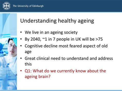Understanding The Neurobiology Of The Ageing Brain Pptx