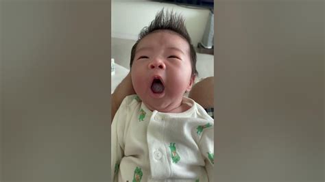 딸꾹딸꾹 Youtube