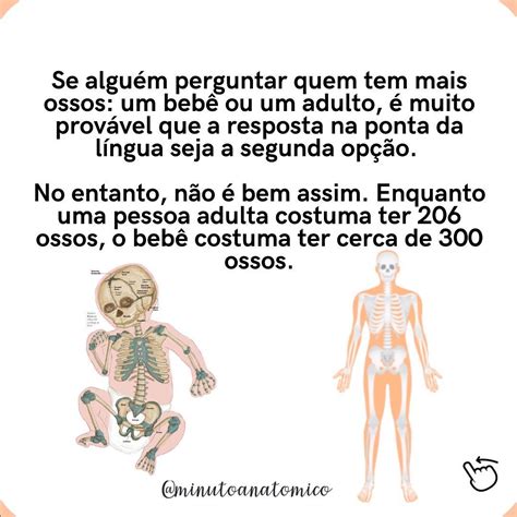 Minuto anatômico Bebês têm mais ossos que adultos Anatomia Fisioterapia