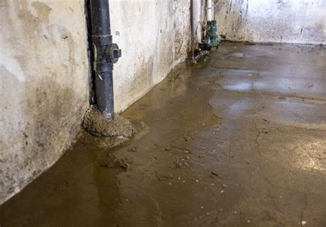 Understanding Basement Flooding Causes Prevention And Solutions