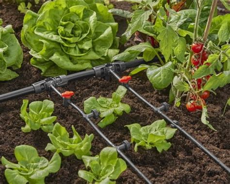 Goutteurs en ligne régulateur de pression l h Boîte de pièces Gardena Jardiland