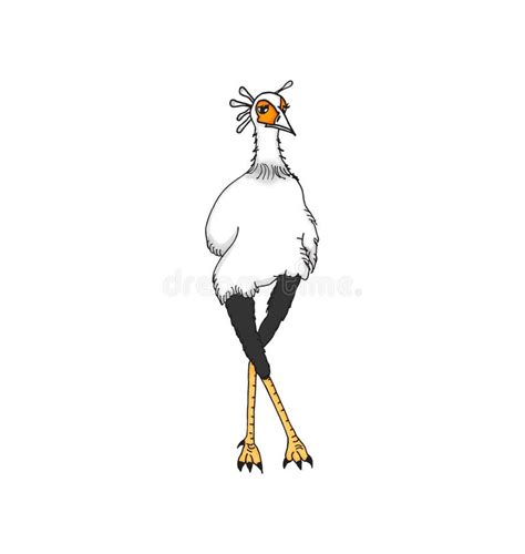Bird Cartoon Draw Freehand On White Background And Clipping Path Stock Illustration