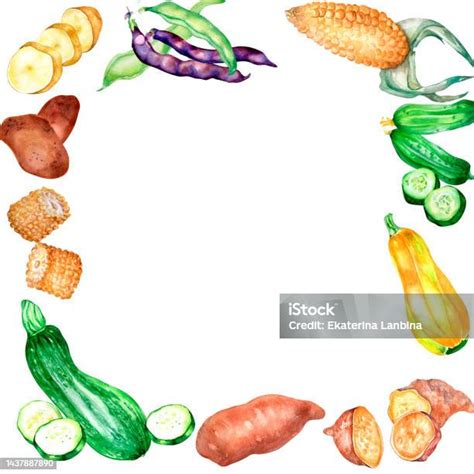다양한 야채 프레임 수채화 그림 격리 강낭콩에 대한 스톡 벡터 아트 및 기타 이미지 강낭콩 개체 그룹 건강한 식생활 Istock