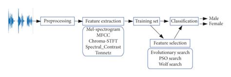 General Gender Recognition Framework Download Scientific Diagram