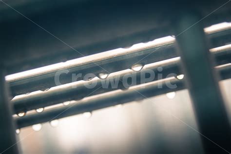 비 물 물방울 빗방울 아웃포커싱 사진이미지일러스트캘리그라피 Njakemoon1작가