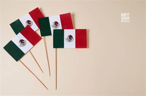 Cómo Votar En Las Elecciones De México En 2024 Mit Smr México