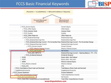 Fccs Basic Accounts Outline And Hierarchy Pptx