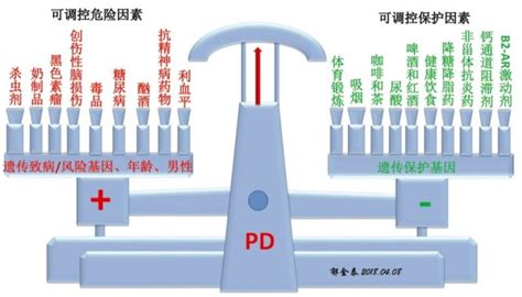 世界帕金森日帕金森病可以预防吗关键在于这 9 大因素 丁香园