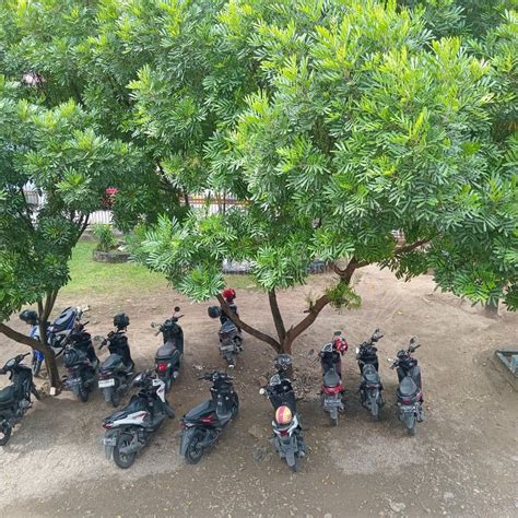 Campus Yard Motorbike Parking Area Stock Image Image Of Neat
