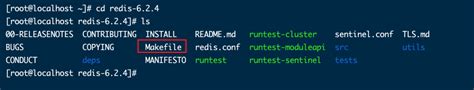 Redis Redis Csdn