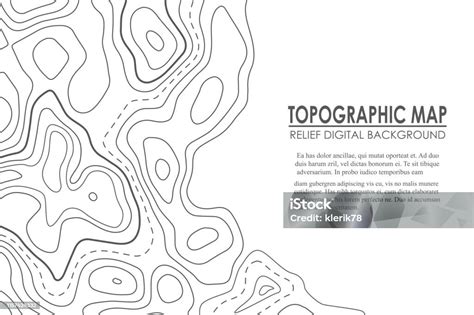 지형도 등고선 배경입니다 표고가 있는 선 맵입니다 지리적 세계 지형지도 그리드 추상 벡터 일러스트레이션 지형도에 대한 스톡 벡터 아트 및 기타 이미지 Istock
