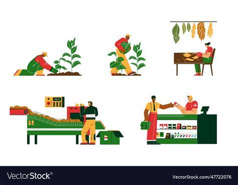 Tobacco Industry And Manufacturing Process Flat Vector Image