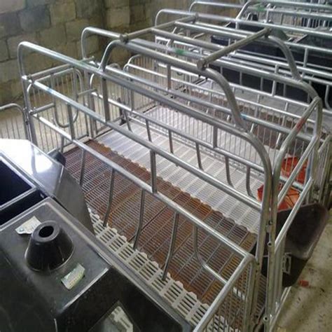 猪场建设养猪场建设方案小型养猪场建设现代化养猪场建设