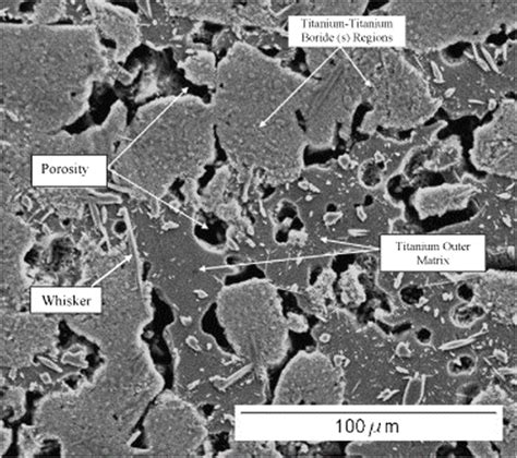 Sem Of Dual Matrix Titi Boride Composites Showing Poor Interfacial Download Scientific Diagram