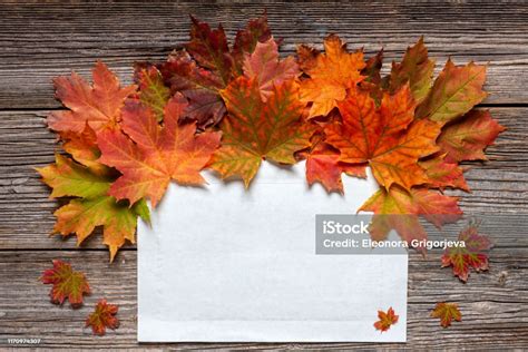 빈티지 나무 배경에 화려한 단풍과 가을 꽃 패턴입니다 맨 위보기 클로즈업 플랫 레이 텍스트 배치 9월에 대한 스톡 사진 및 기타 이미지 Istock