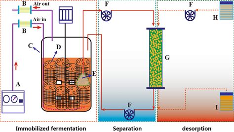 Experimental Setup Of The Integrated Immobilized Fermentation And