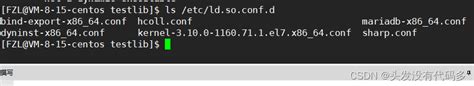 linux——动态库 linux 动态库 csdn博客