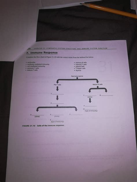 solved date section name reviewing your knowledge exercise