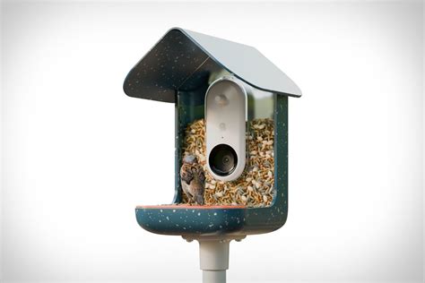 Bird Buddy Smart Bird Feeder Uncrate