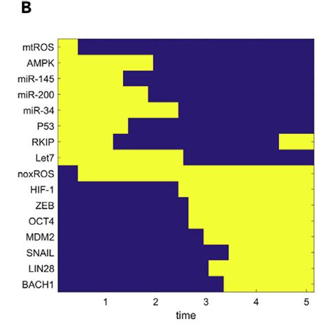Transition Paths Among Different Cell States A Fixed Points And