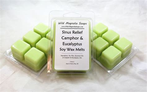 Sinus Relief Scented Soy Wax Melts Vegan Air Freshener Home Fragrance