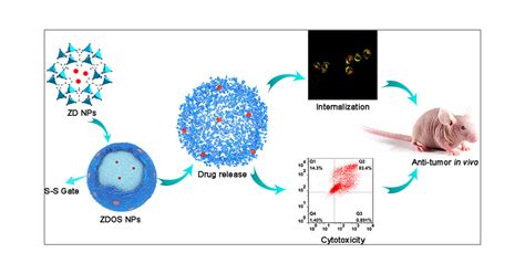 Nanoscale Metalorganic Frameworks Coated By Biodegradable Organosilica For Ph And Redox Dual