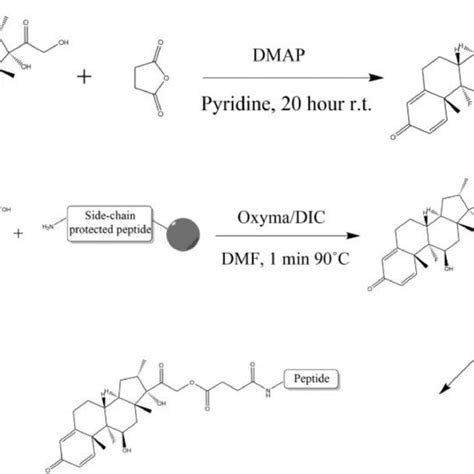 Chemical Synthesis Pathway For A Dexamethasone Succinate B