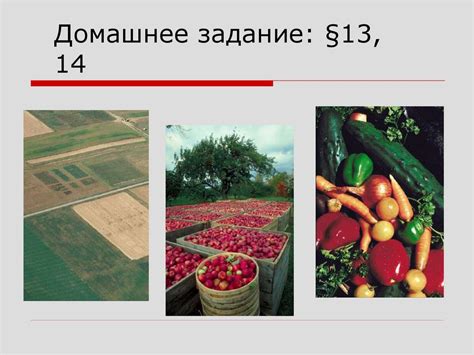 Агропромышленный комплекс России 9 класс презентация онлайн