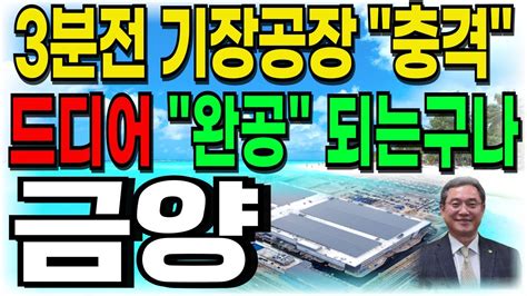 금양 주가전망 3분전 기장공장 충격 드디어 완공 되는구나 주주여러분들 빨리 시청하세요 Youtube