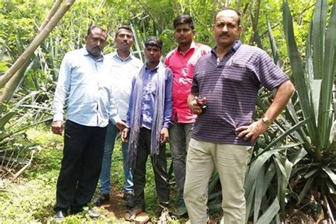 Dhule Lynching Maharashtra Police Make 25th Arrest In Mob Killing Case