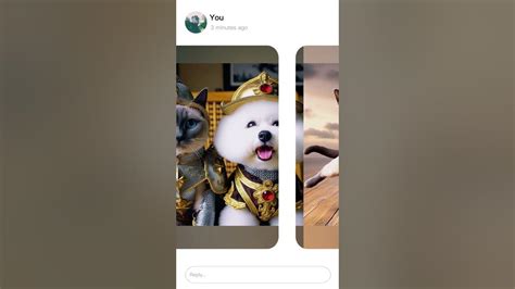 먼지와 미키의 합성 사진 고양이 깜냥 강아지 산책냥 Cat 야간산책 개냥이 Youtube