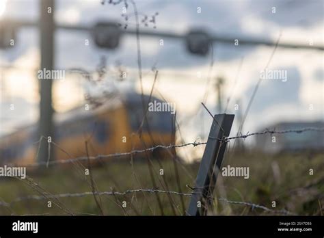 Grass On The Bank Of Intercity Dutch Railway With Passenger Train Cabine Out Of Focus In The