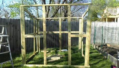 Building A Chicken Run For Beginners Building A Chicken Run Building A Chicken Coop Chicken Runs