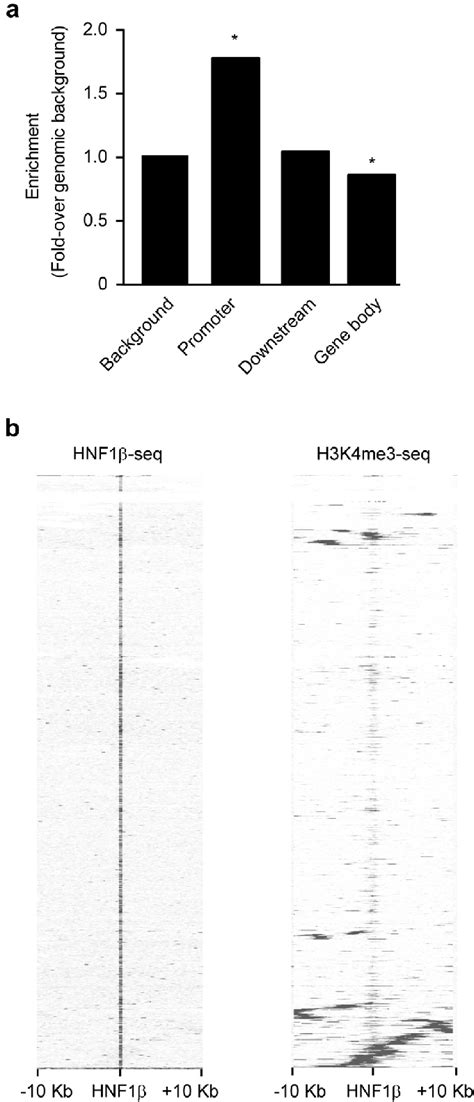 Hepatocyte Nuclear Factor 1 Homeobox B Hnf1b Peaks Are Download Scientific Diagram