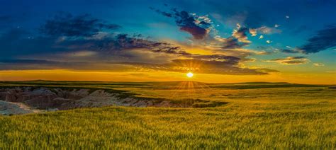 Jon Mccabe Discover Unique Art Visit Today — Miami Art Week