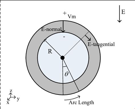 3 The Transmembrane Voltage Normal And Tangential Electric Fields Download Scientific Diagram